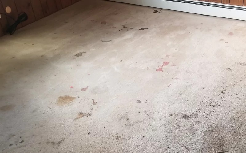 Clean a Heavily Soiled Carpet In 5 Simple Steps
